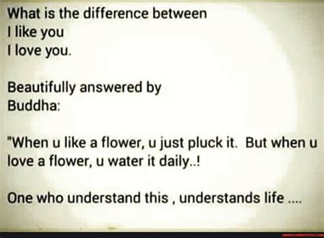 what is the difference between like you love you beautifully answered