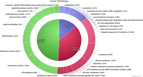 Gene Ontology Go Analysis In The Enterobacter Sp S 33 Genome The Download Scientific