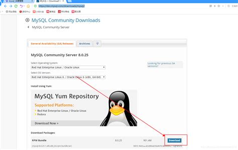 高级dba教你mysql8 0x小版本覆盖升级修复漏洞方法（8 023到8 025） mysql8 安全漏洞升级 csdn博客