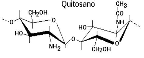 Estructura Química Del Quitosano [8] Download Scientific Diagram