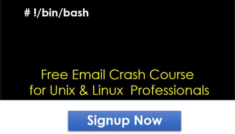 Start Automating Your Day To Day Activities With Bash Scripting