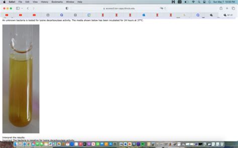 MCB Fawk Me Flashcards Quizlet
