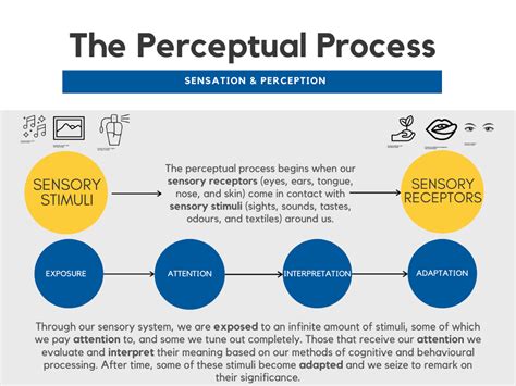Perception And Learning Honors Marketing Class Notes Fiveable