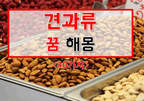 견과류 꿈 40가지 해몽 견과류 먹는 꿈 사는 꿈 땅콩 꿈 잣 꿈 호두 꿈 호두과자 꿈 Helpful Information