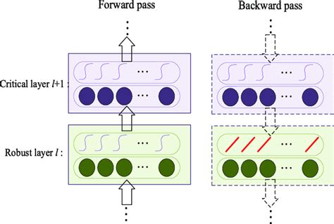 Nonlinear Activation Functions Of Robust Layer L In Forward Pass And