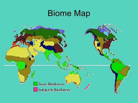 Temperate Rainforest Map Temperate Rainforest Biome Facts Pictures