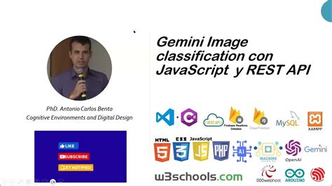 Gemini Image Classification Con Javascript Y Rest Api Youtube
