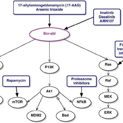 Mode Of Action Of Imatinib The Phosphorylation Of A Substrate Is Shown
