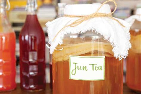 Basic Jun Tea Recipe Fermentation