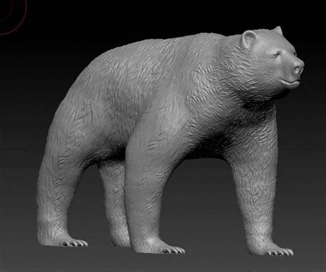 Short Faced Bear Arctodus Pristinus Giant Extinct Bear 3d Print 3d