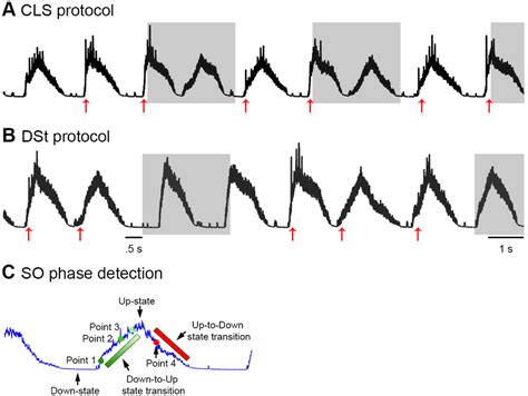 Closed Loop Stimulation Cls And Driving Stimulation Dst