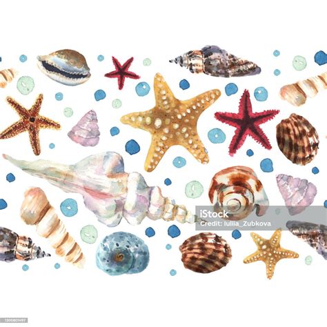 화려한 바다 조개와 장식 디자인을위한 별과 아름다운 수채화 원활한 보더 예술적 배경 수채화 추상 미술 배경 개체 그룹에 대한 스톡 벡터 아트 및 기타 이미지 Istock