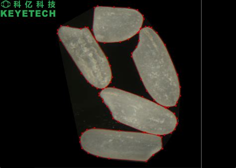 Insect Eaten Ai Rice Grain Quality Analyzer Defect Inspection System