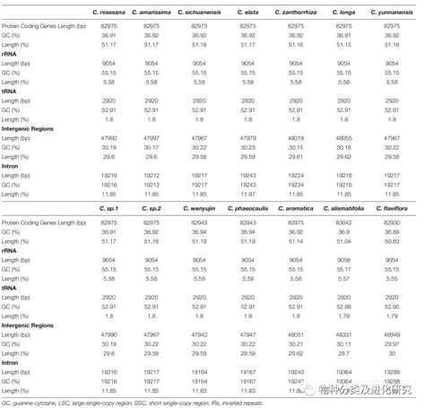 植物叶绿体基因组 14种姜黄属植物叶绿体基因组全序列：深入了解姜目植物的基因组进化和系统发育关系 知乎