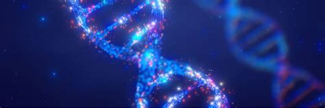 Tips Tricks And Best Practices For Running Labchip Assays Webinar Revvity