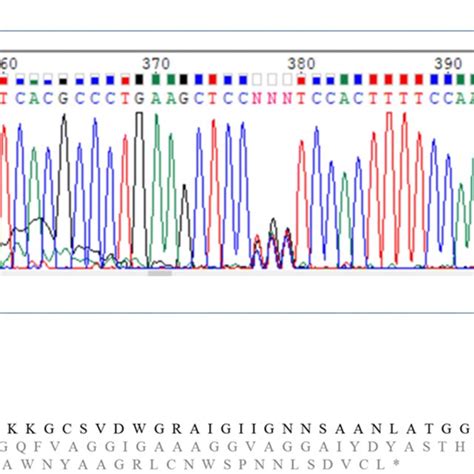 A Dna Sequencing Chromatogram Obtained From Saturation Mutagenesis