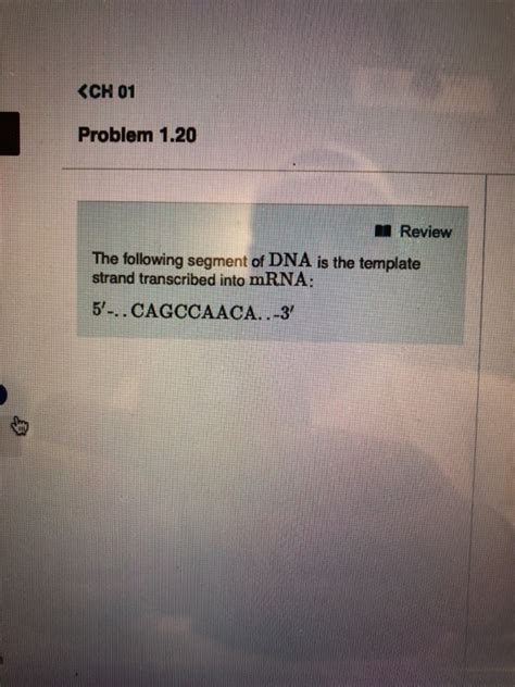 Solved 8 Of 9 What Is The Sequence Of MRNA Created From This Chegg Com