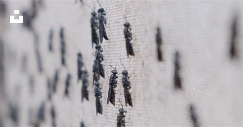 일부 글의 클로즈업 사진 Unsplash의 무료 회색 이미지