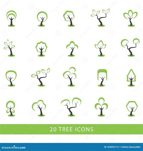 Set Of Trees Stock Vector Illustration Of Root Collections