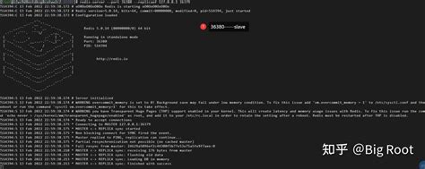 Redis代理分片机制——predixy实操 知乎