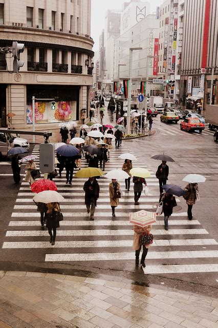 Lampu Lalu Lintas Object Detection Dataset By Kp