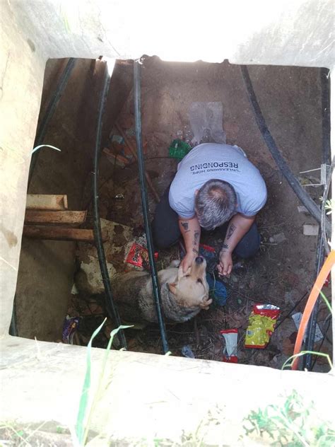 Куче паднало во шахта ги изгризало каблите и без интернет останаа болницата „Филип Втори“ и