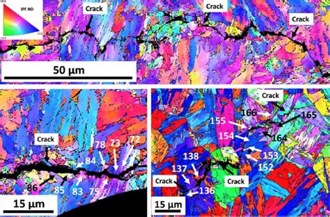 7 Typical Ebsd Inverse Pole Figure Ipf Maps Showing Secondary