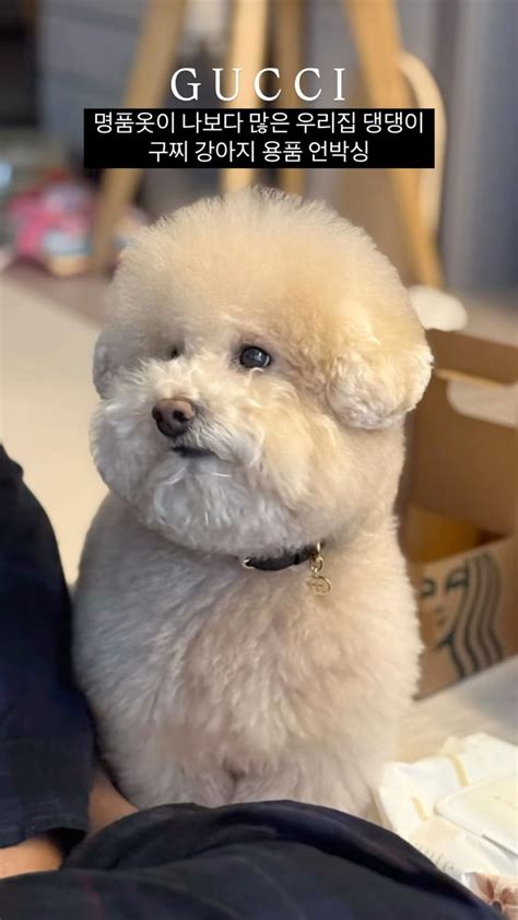 대한항공 N번째 프레스티석 타면서 라운지 이용할때 여태 이러지 않았는데 또 바뀌었네요 자주 나가니까 이런걸 바로바로 알게되는 12월 유럽 출국때 기준까지 가방도