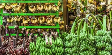 Making A Custom Cursor Tracker With Javascript Leon Birch Posted On The Topic Linkedin