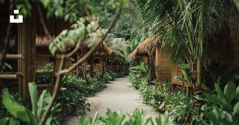 Road Between Nipa Hat House Photo Free Thailand Image On Unsplash