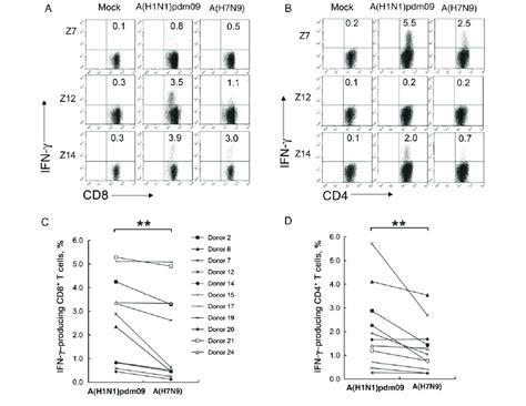 Influenza Virus Specific Interferon γ Ifn γ Secreting Cells Among Cd8 Download Scientific