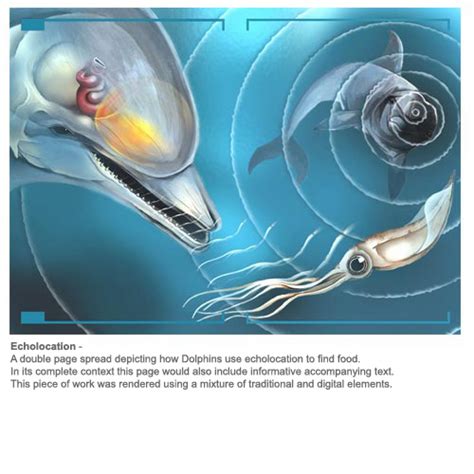 Science Class Of Vocabulary Sound And Surface