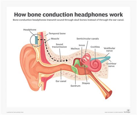 What Is An A Weighted Decibel DBA Or DB A