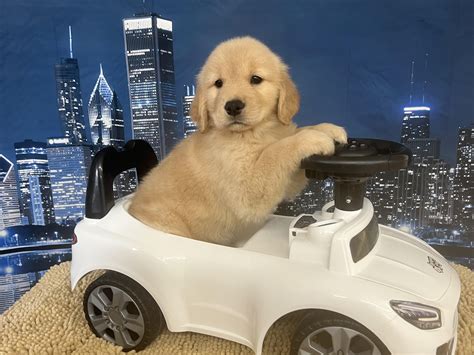 Merging Two Photos Scrolller