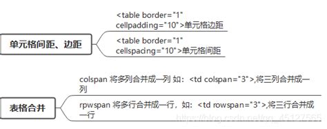 Vs Code 入门笔记（二）表格、列表、表单学习vscode表格学习 Csdn博客
