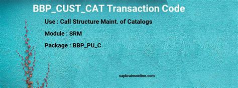BBP CUST CAT SAP Tcode For Call Structure Maint Of Catalogs
