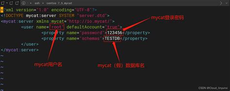 mycat的配置与部署（数据库双主双从） mycat服务器 csdn博客