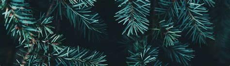 How To Measure Gutter Size A Step By Step Guide Gutterbrush Gutterbrush Gutter Guards How To Measure Gutter Size A Step By Step Guide Gutterbrush Gutterbrush Gutter Guards