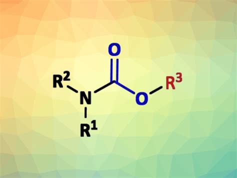 Co2 Based Carbamate Synthesis With Polymer Supported Catalyst