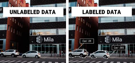 Unlabeled Data In Machine Learning Overview With Examples Label Your