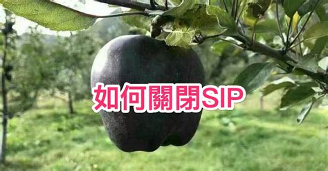 [黑蘋果]如何關閉sip system integrity protection