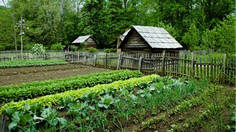 Biboca Ambiental Como Construir Uma Horta OrgÂnica
