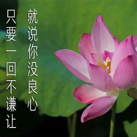 与别人交谈时少说自己的这三件事福气会越来越多 一个人 秘密 成绩