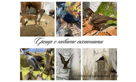 Природонаучен музей Черни Осъм Нови експонати Троян експрес