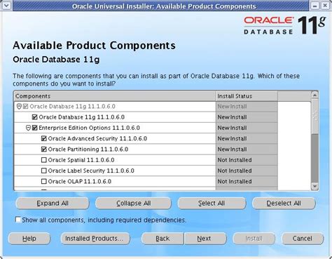 Install 11g Rac 11g R1 For Db Home