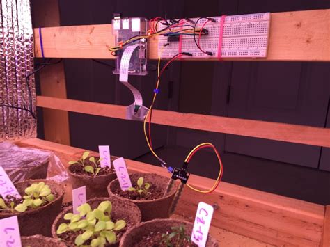 Raspberry Pi Just Turned 5 Heres A Brief History Of The Worlds Tiniest Hobbyist Computer