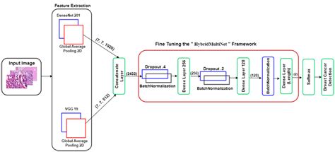 Fine Tuning Process Of Breastmultinet Framwork Download Scientific Diagram