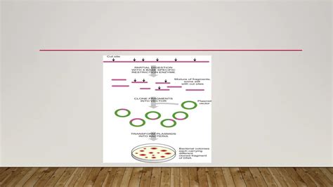 Microbial Biotechnology Slideshare Dna Libraries Ppt