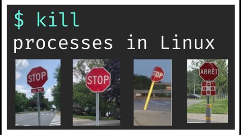 Killing A Linux Process Youtube