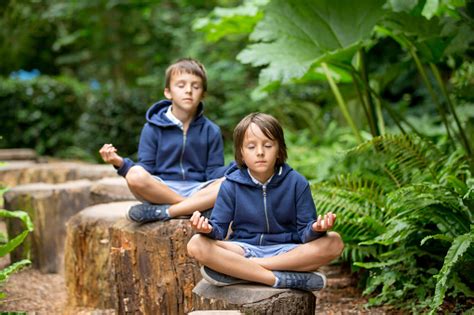 두 유치원 아이 들 소년 보 다른 숲에서 나무 트렁크에 앉아 개념에 대한 스톡 사진 및 기타 이미지 개념 건강한 생활방식 공원 Istock
